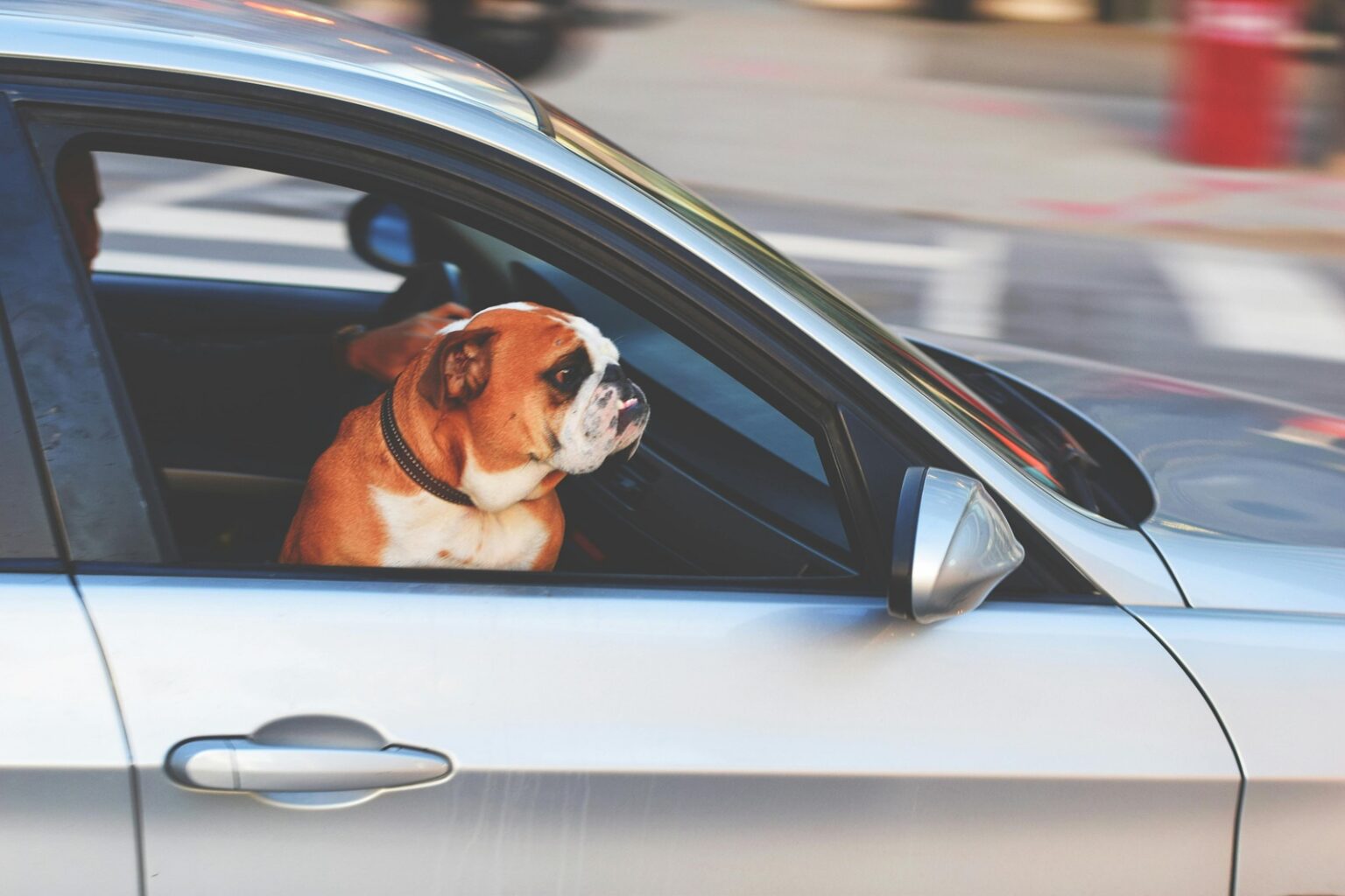 Collision vs. Comprehensive Coverage — What's the Difference?